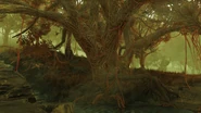 Tree | Fallout Wiki | Fandom