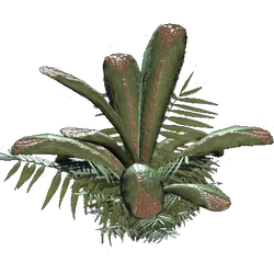 nuclear briefcase fallout 76