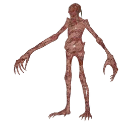 Wendigo Observasjoner