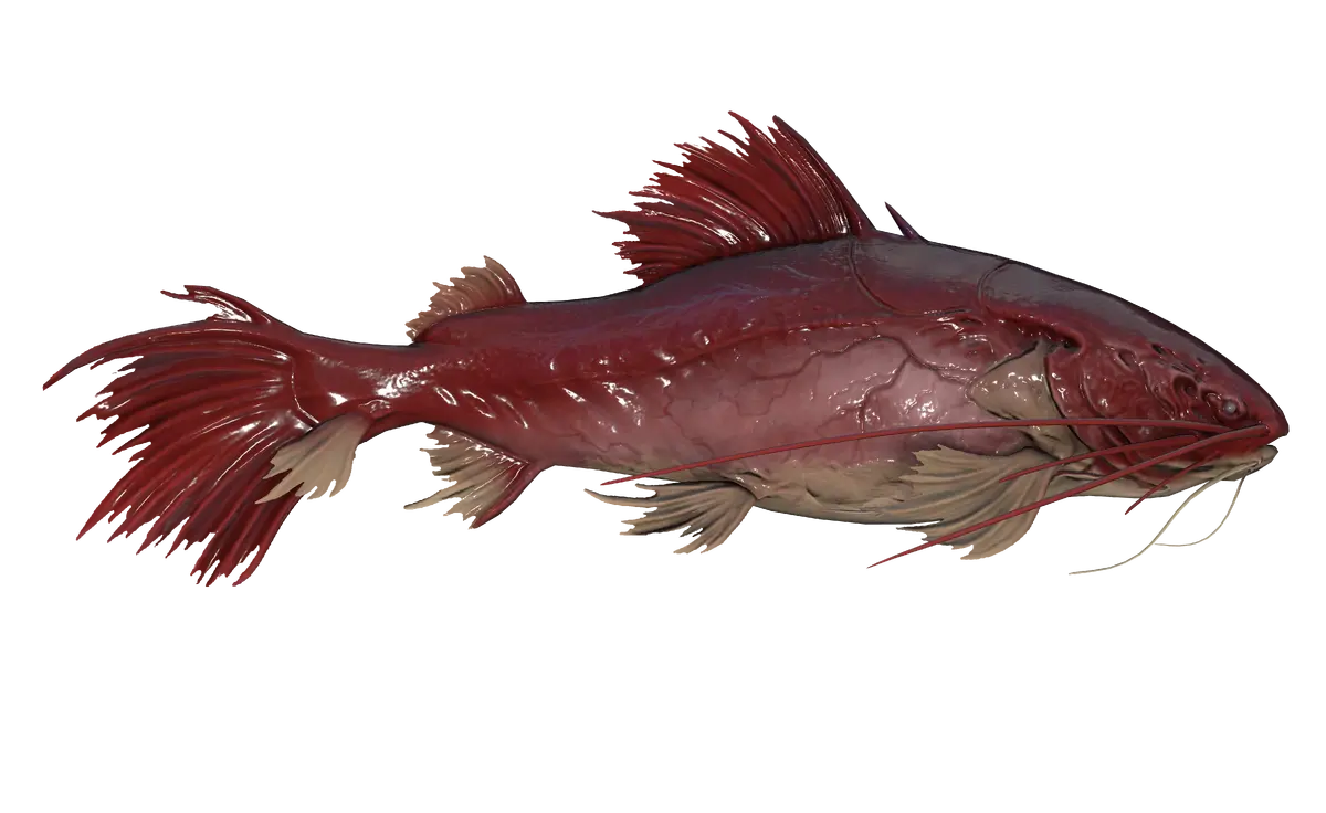 Organ Grinder | Fallout Wiki | Fandom