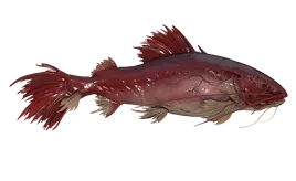 Organ Grinder | Fallout Wiki | Fandom