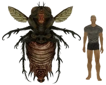 Tochomosca (Fallout: New Vegas) | El Refugio | Fandom