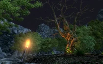 The Grove | Fallout Wiki | Fandom