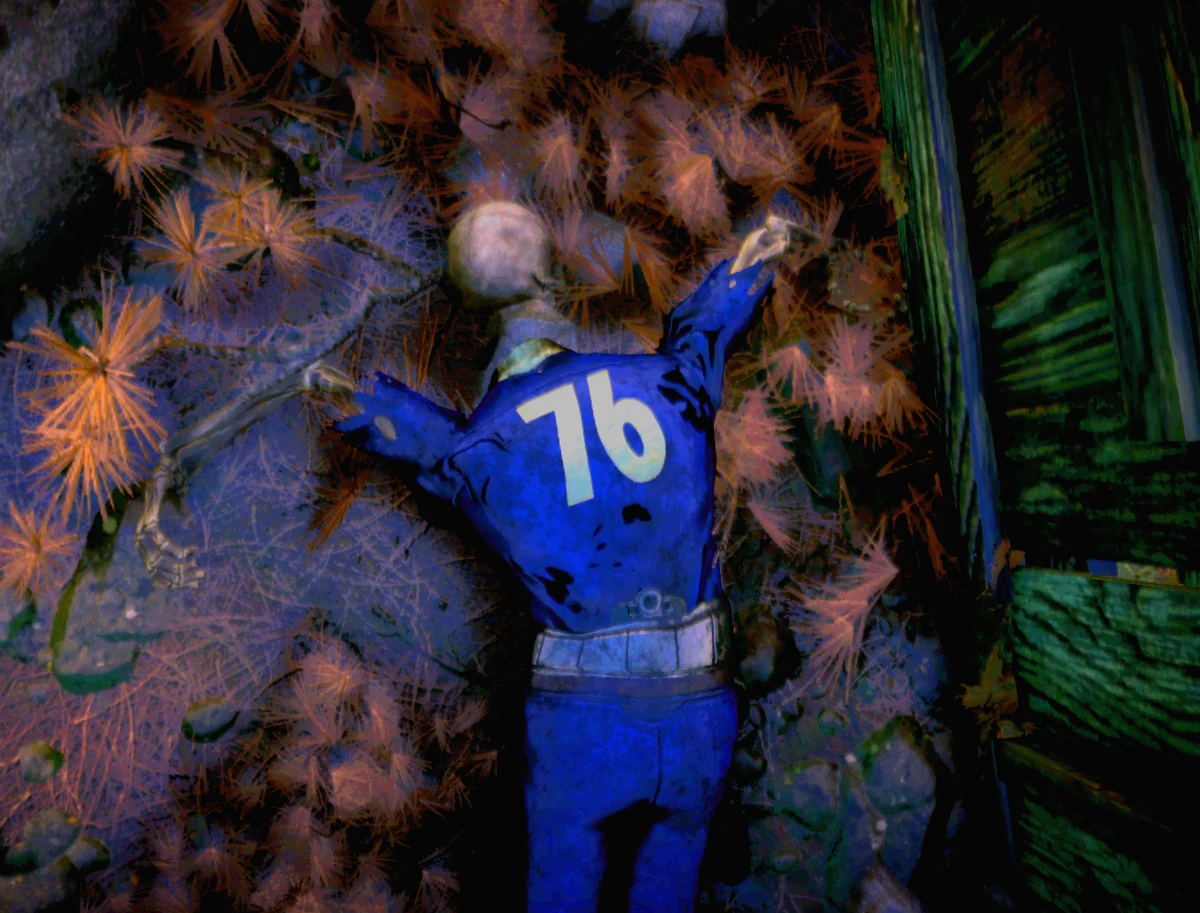 Skeleton (Fallout 76) | Fallout Wiki | Fandom