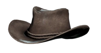 Cowboy hat (Daily Ops) | Fallout Wiki | Fandom
