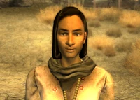 Traveler | Fallout Wiki | Fandom