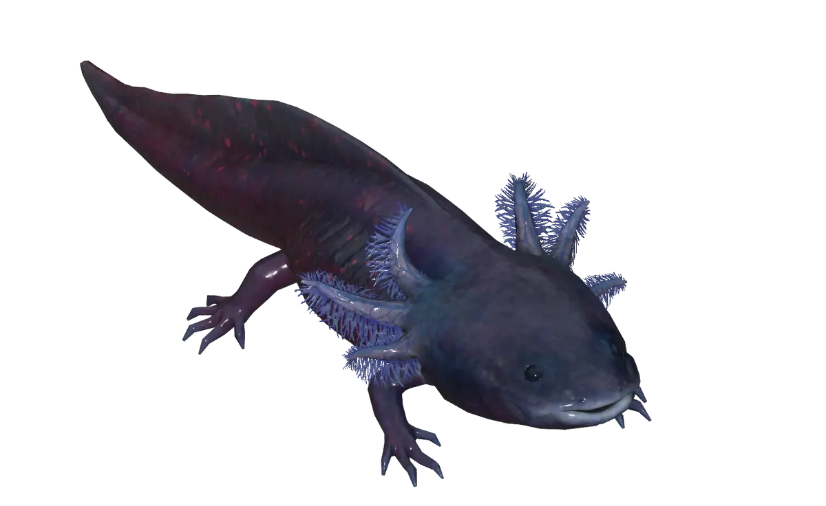 Shadow axolotl | Fallout Wiki | Fandom