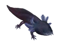 Shadow axolotl | Fallout Wiki | Fandom