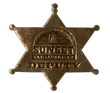 New Deputy Sheriff Badges