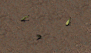 Богомол | Fallout: Sonora Вики | Fandom