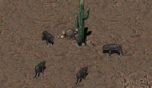 Wild Dog | Fallout: Sonora Wiki | Fandom