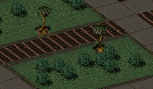 Хищное растение | Fallout: Sonora Вики | Fandom