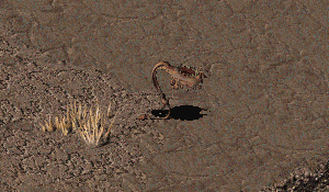 Floater | Fallout: Sonora Wiki | Fandom