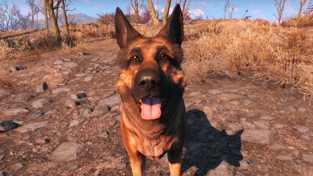Dogmeat | Fallout4 Wikia | Fandom