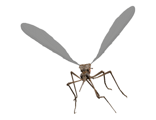 Bloodbug (Fallout 76) - The Vault Fallout Wiki - Everything you need to ...