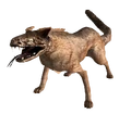 Night stalker - The Vault Fallout Wiki - Everything you need to know ...