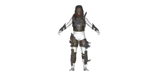 Disciples metal armor - The Vault Fallout Wiki - Everything you need to ...