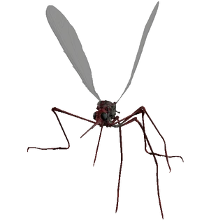 Red widow bloodbug (Fallout 76) - The Vault Fallout Wiki - Everything ...