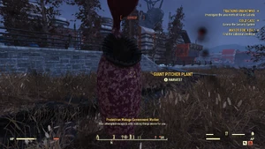 Digested goo (Fallout 76) - The Vault Fallout Wiki - Everything you ...