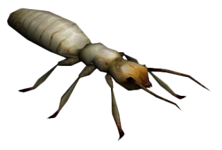 Giant albino ant - The Vault Fallout Wiki - Everything you need to know ...