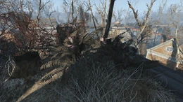 Mutated fern flower - The Vault Fallout Wiki - Everything you need to ...