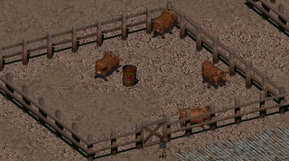 Brahmin (Fallout) - The Vault Fallout Wiki - Everything you need to ...