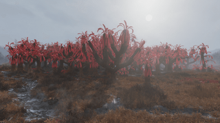 Overgrown Sundew Grove - The Vault Fallout Wiki - Everything you need ...