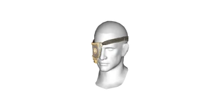 Gage's eyepatch - The Vault Fallout Wiki - Everything you need to know ...