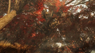 Treetops - The Vault Fallout Wiki - Everything you need to know about ...