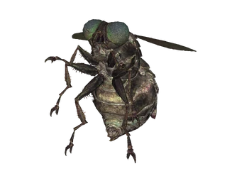 Black bloatfly (Fallout 76) - The Vault Fallout Wiki - Everything you ...