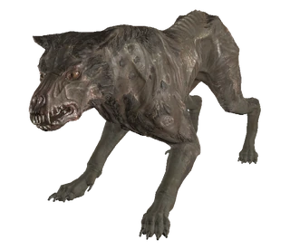 Vicious mongrel (Fallout 76) - The Vault Fallout Wiki - Everything you ...