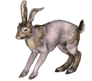 Rabbit (Fallout 76) - The Vault Fallout Wiki - Everything you need to ...