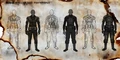 Stealth suit Mk II - The Vault Fallout Wiki - Everything you need to ...