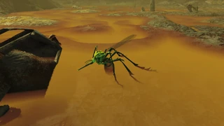 Glowing bloodbug - The Vault Fallout Wiki - Everything you need to know ...