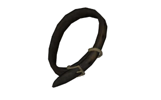 Dog collar - The Vault Fallout Wiki - Everything you need to know about ...