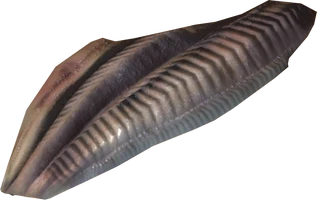 Poached angler (Fallout 76) - The Vault Fallout Wiki - Everything you ...