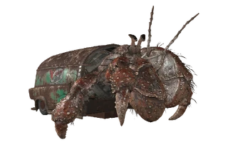 Alpha hermit crab - The Vault Fallout Wiki - Everything you need to ...