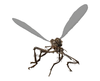 Infected bloodbug - The Vault Fallout Wiki - Everything you need to ...