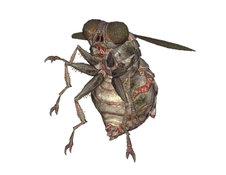 Bloatfly (Fallout 76) - The Vault Fallout Wiki - Everything you need to ...