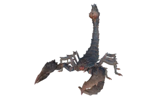 Radscorpion stalker - The Vault Fallout Wiki - Everything you need to ...