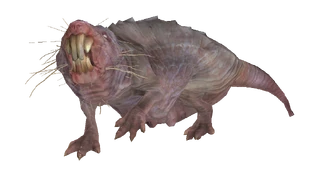 Mole rat brood mother (Fallout 76) - The Vault Fallout Wiki ...