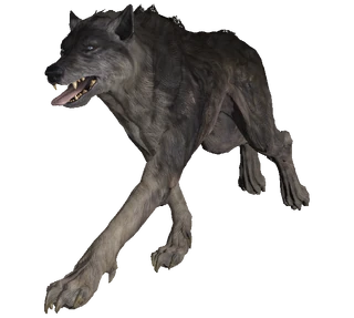 Grey wolf (Fallout 76) - The Vault Fallout Wiki - Everything you need ...