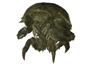 Softshell mirelurk - The Vault Fallout Wiki - Everything you need to ...