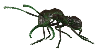 Overgrown glowing ant (Fallout 76) - The Vault Fallout Wiki ...