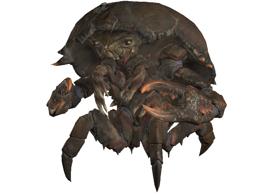 Mirelurk (Fallout 4) - The Vault Fallout Wiki - Everything you need to ...