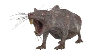 Mangy radrat (Fallout 76) - The Vault Fallout Wiki - Everything you ...