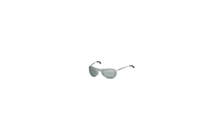 Patrolman sunglasses - The Vault Fallout Wiki - Everything you need to ...