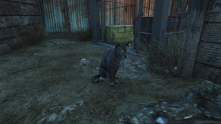 Katana (cat) - The Vault Fallout Wiki - Everything you need to know ...
