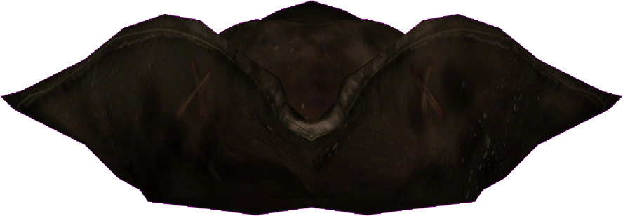 Pirate hat - The Vault Fallout Wiki - Everything you need to know about ...
