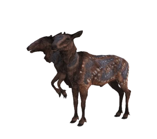 Radstag yearling - The Vault Fallout Wiki - Everything you need to know ...